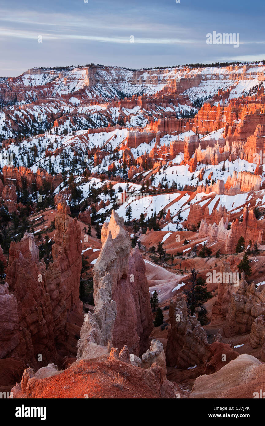 Hoodoo rock formations of the Amphitheater from Sunrise point, Bryce ...