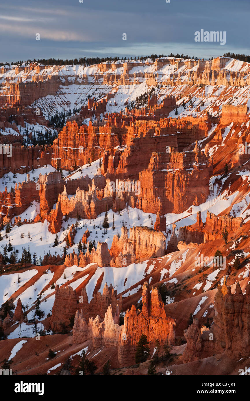 Hoodoo rock formations of the Amphitheater from Sunrise point, Bryce ...