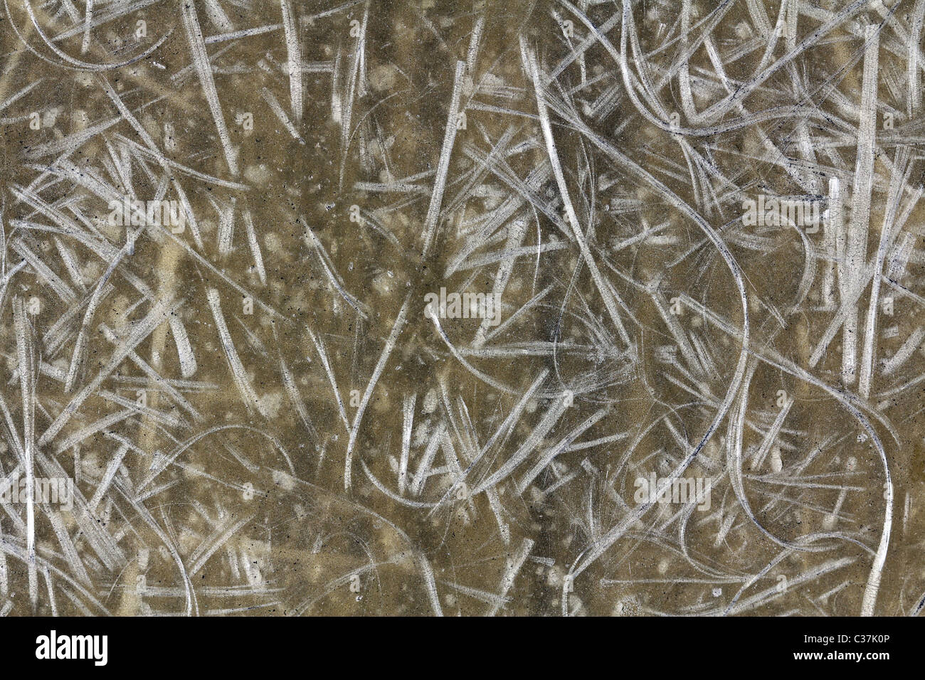 Abstract of Fiber Glass Texture Stock Photo - Alamy