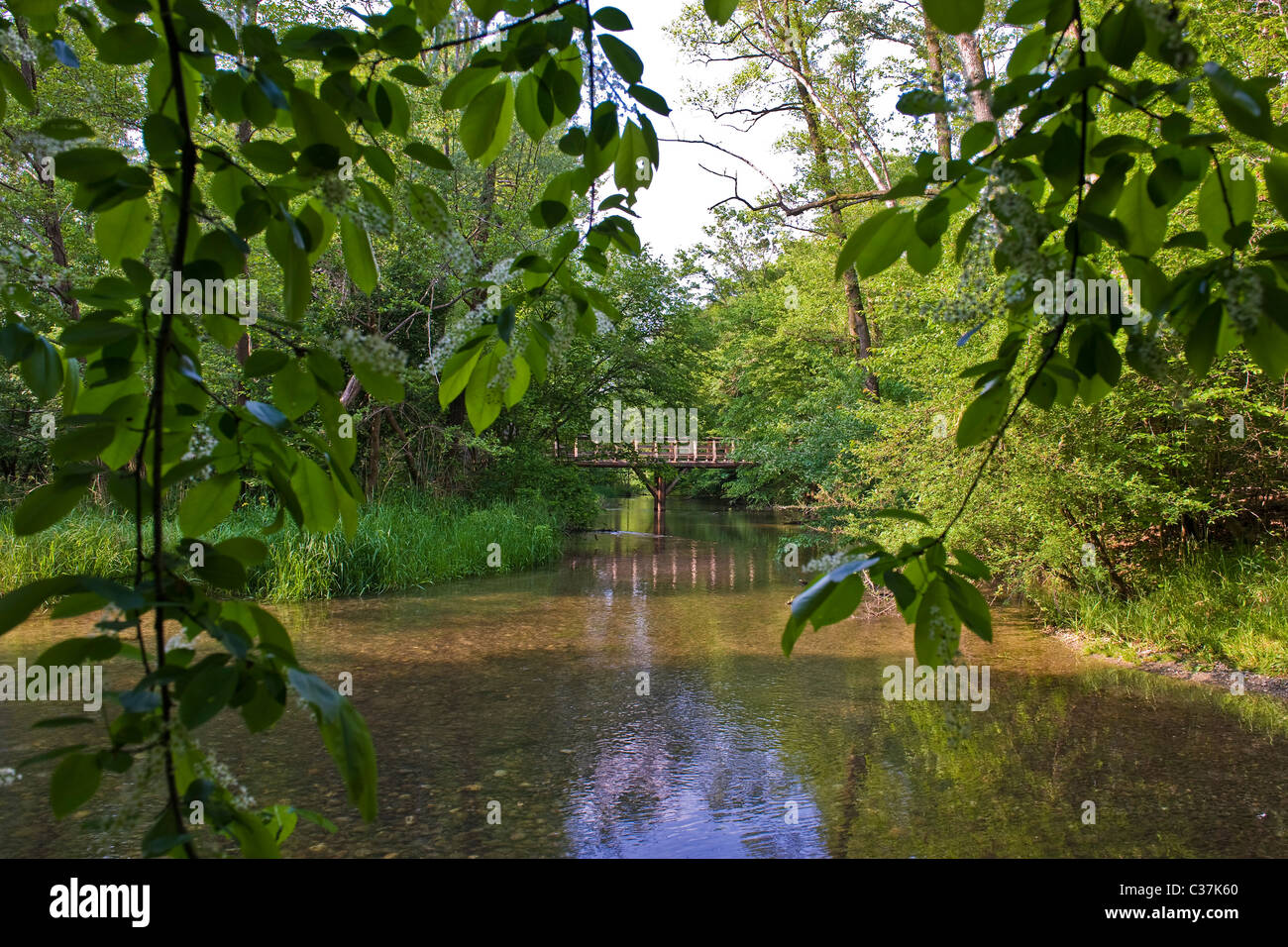 "La Fagiana" natural reserve, Ticino park, Pontevecchio di Magenta ...
