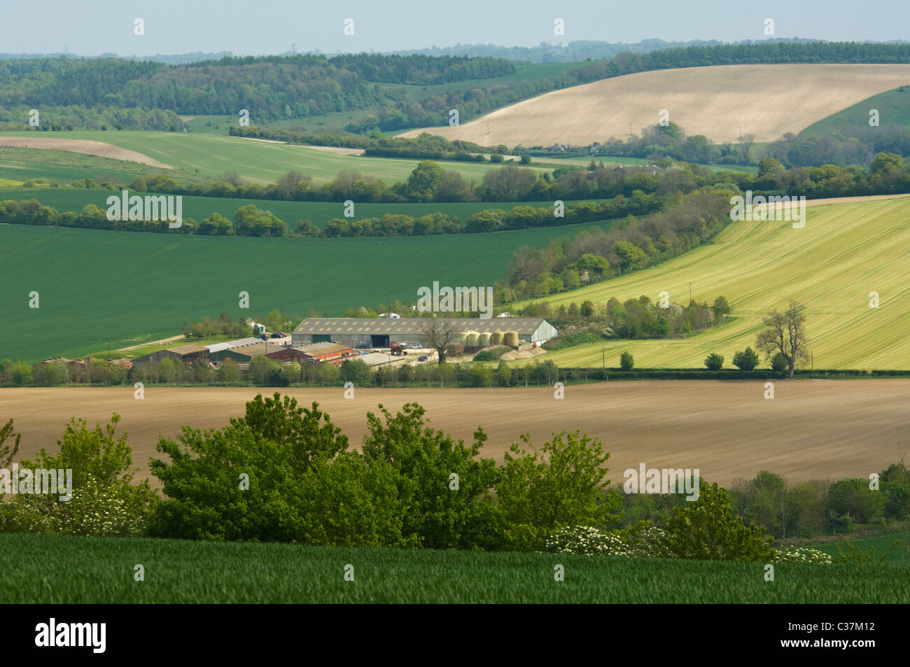 View over farmland in picturesque rolling countryside, Meon Valley ...