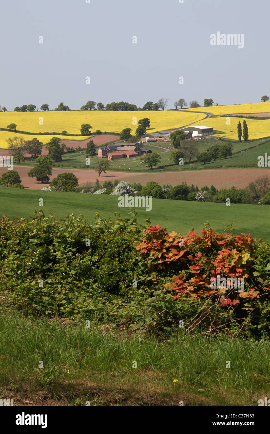 A farm in the English countryside Stock Photo - Alamy