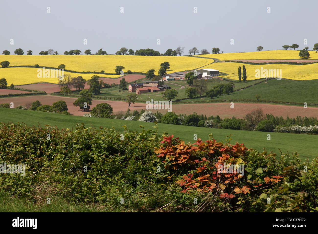 A farm in the English countryside Stock Photo - Alamy