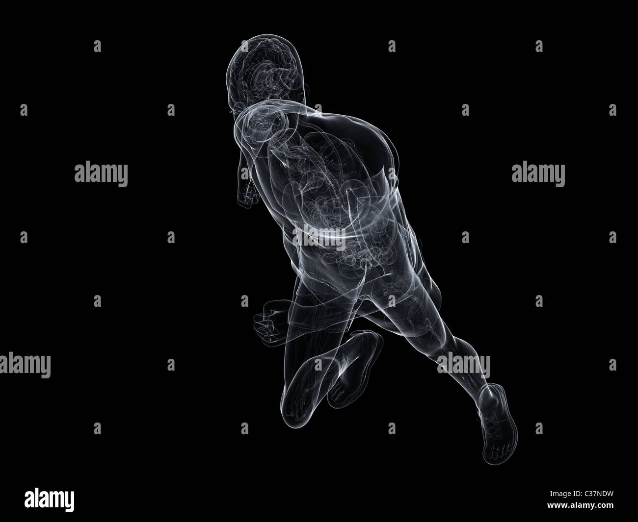 Anatomy man x ray hi-res stock photography and images - Alamy