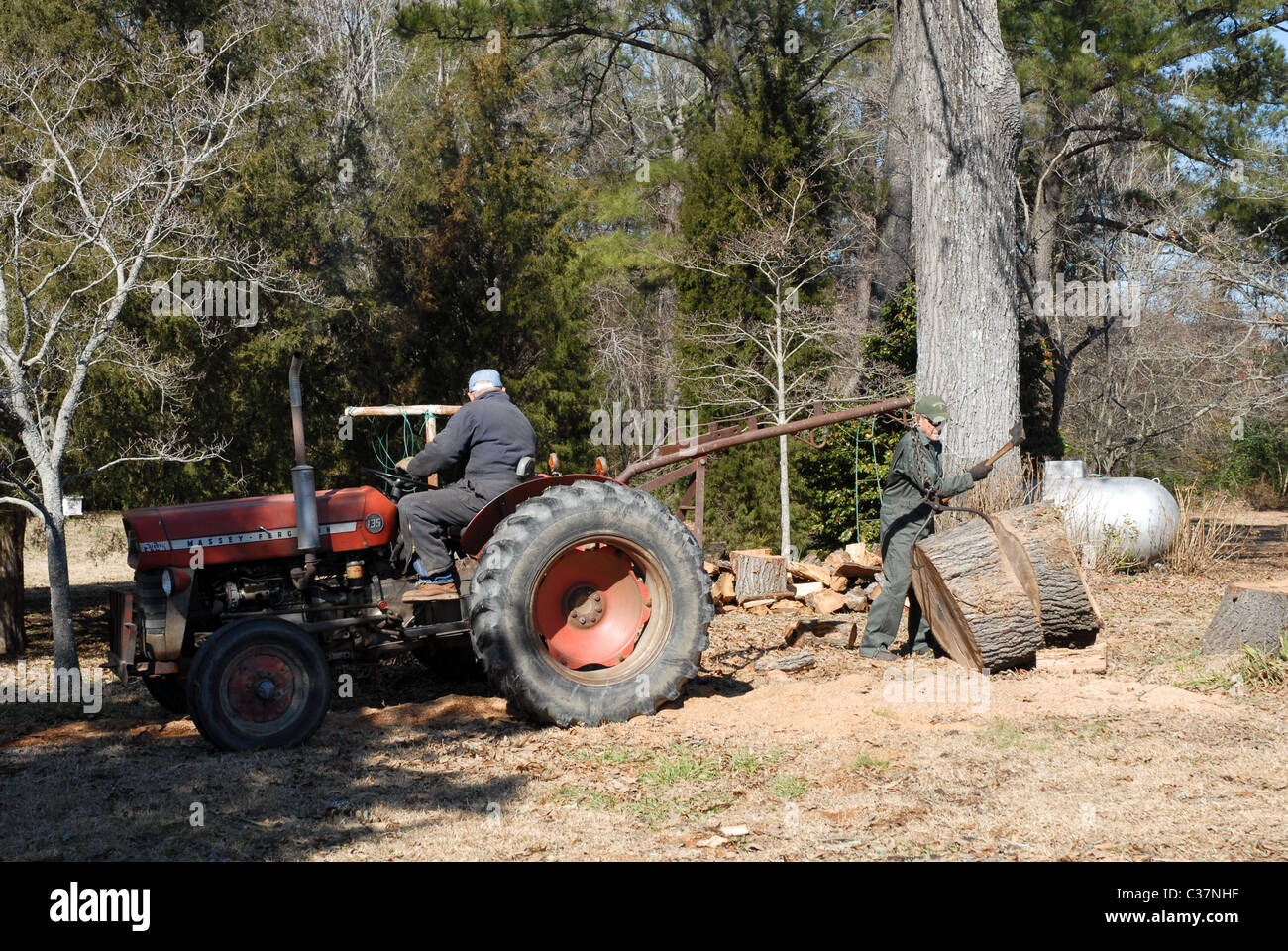 Tractor lifting log sections to be split into firewood Stock Photo - Alamy