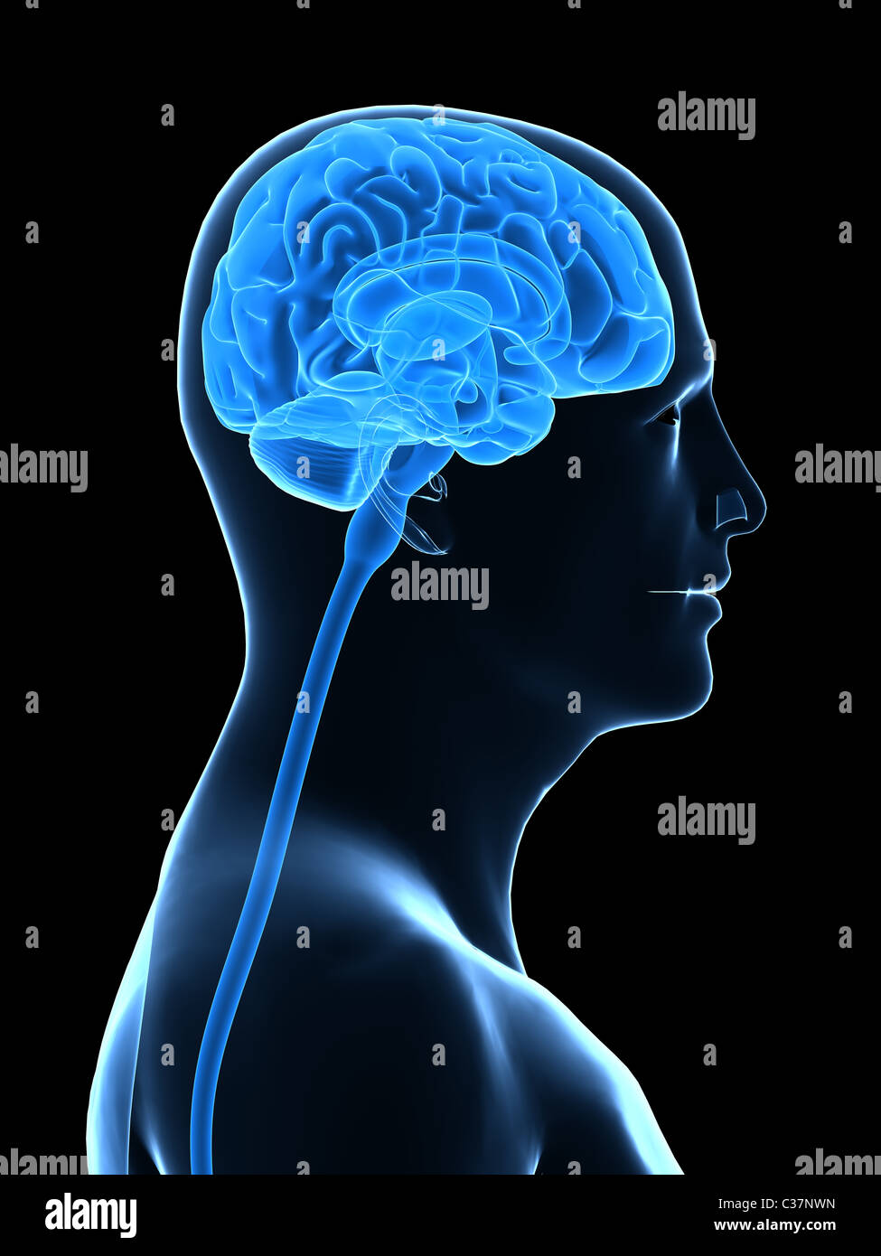 Black brain hi-res stock photography and images - Alamy