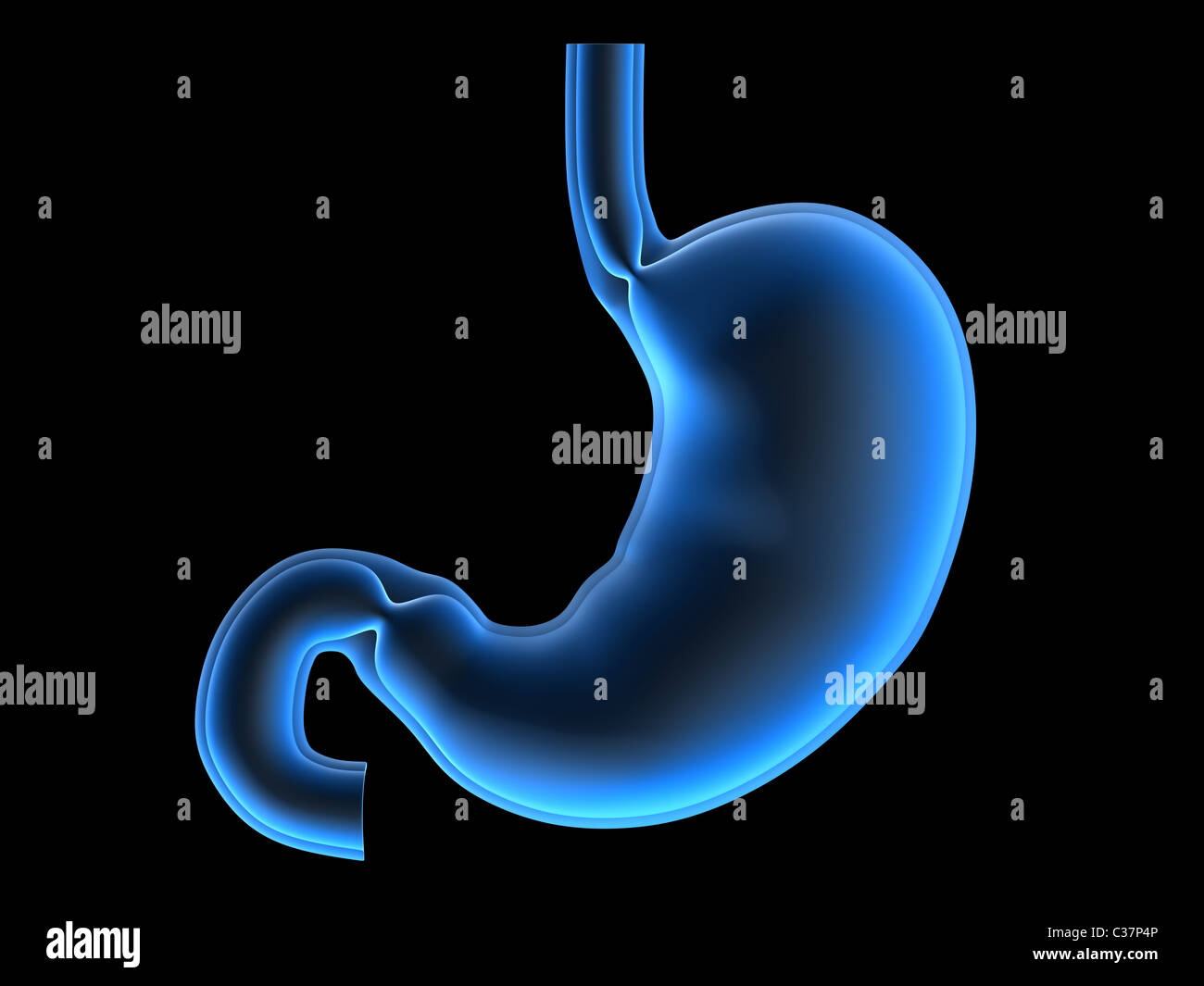 Liver Human Autopsy High Resolution Stock Photography and Images - Alamy