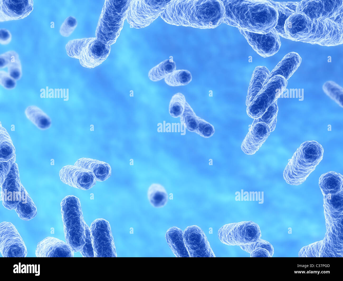 Human bacteria hi-res stock photography and images - Alamy