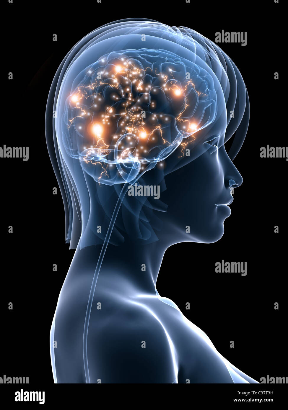 Human female shape hi-res stock photography and images - Alamy