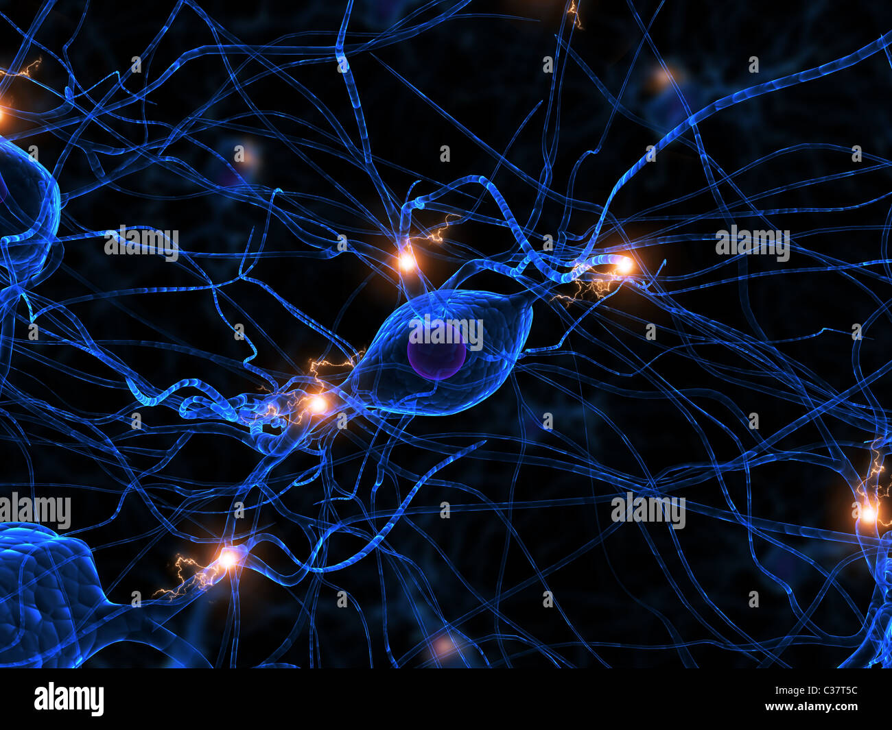 active nerve cell Stock Photo - Alamy