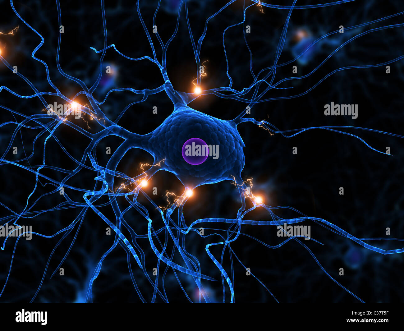 active nerve cell Stock Photo - Alamy