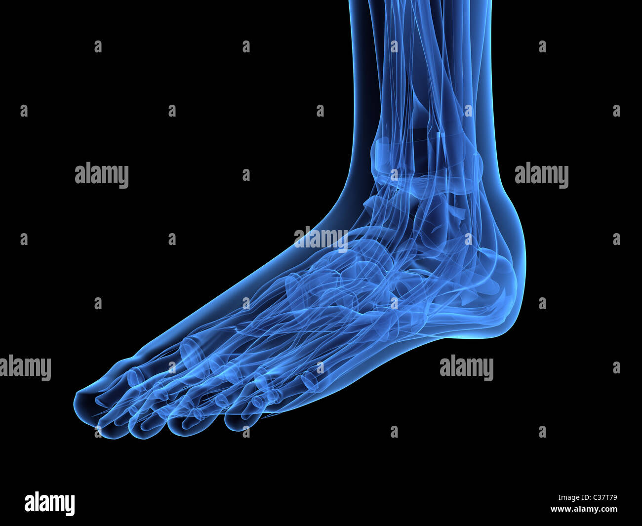 Foot care illustration hi-res stock photography and images - Alamy