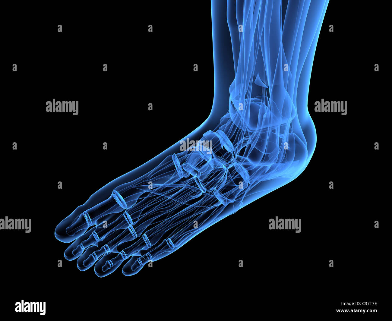 Pain foot hi-res stock photography and images - Alamy