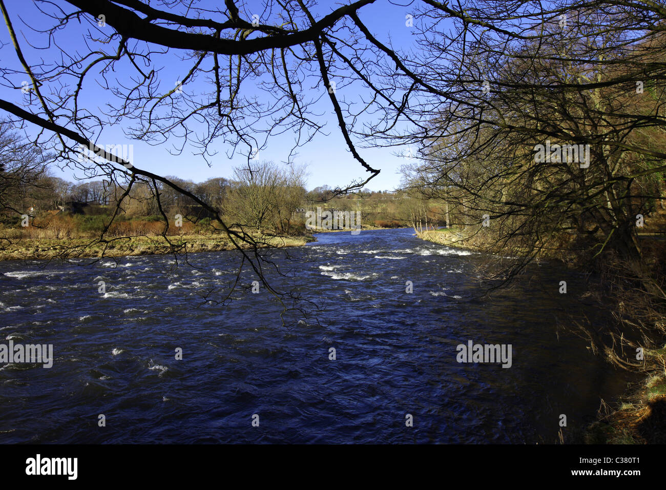 Dsff hi-res stock photography and images - Alamy