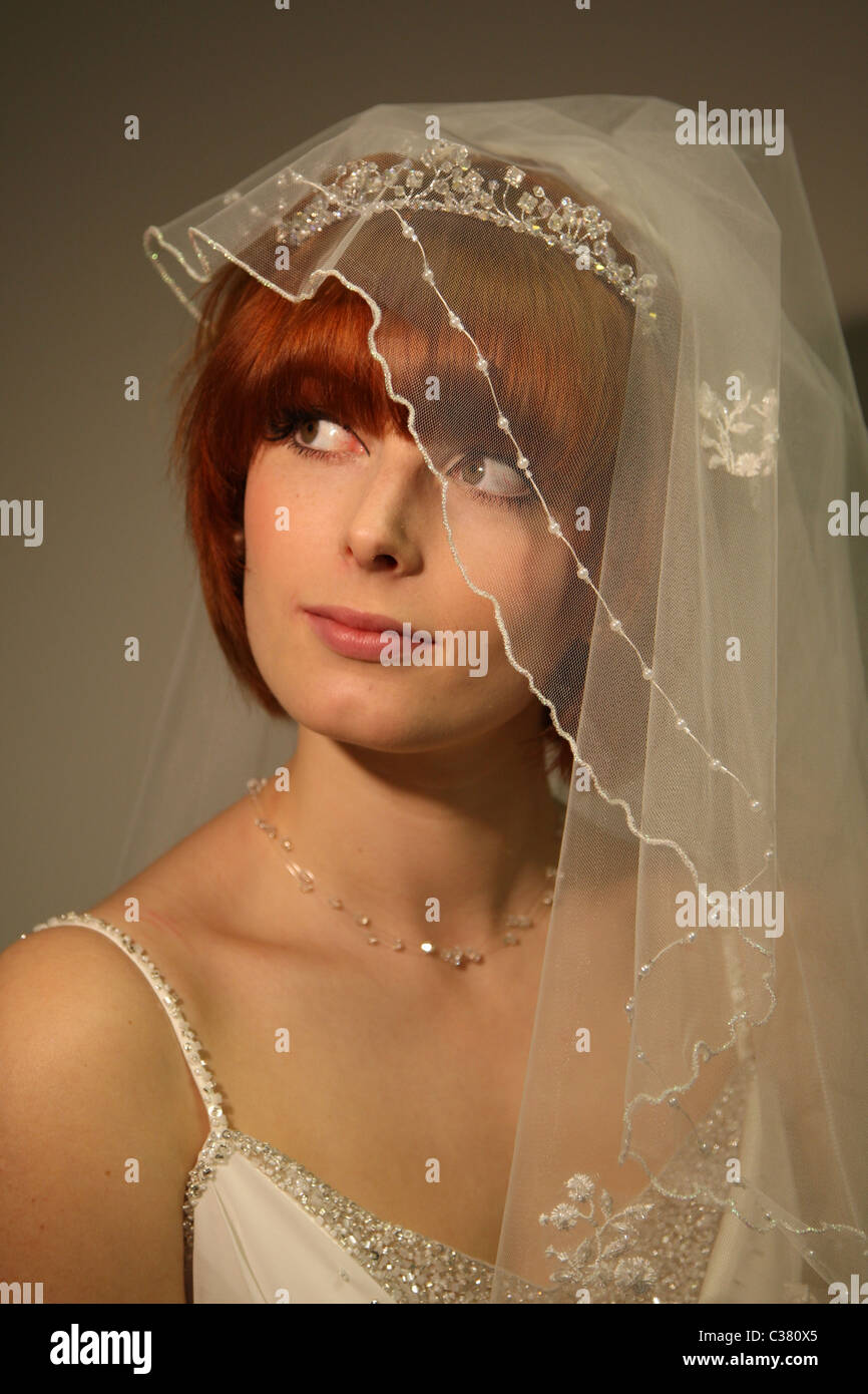 Beautiful bride wearing a veil Stock Photo - Alamy