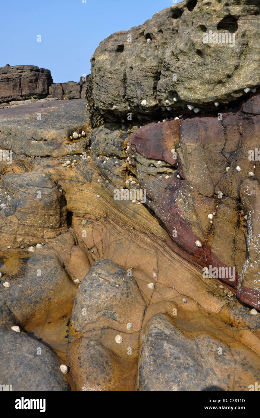 Whitley rocks hi-res stock photography and images - Alamy