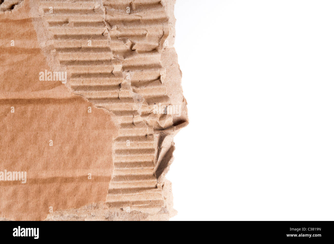 piece of cardboard teared Stock Photo - Alamy