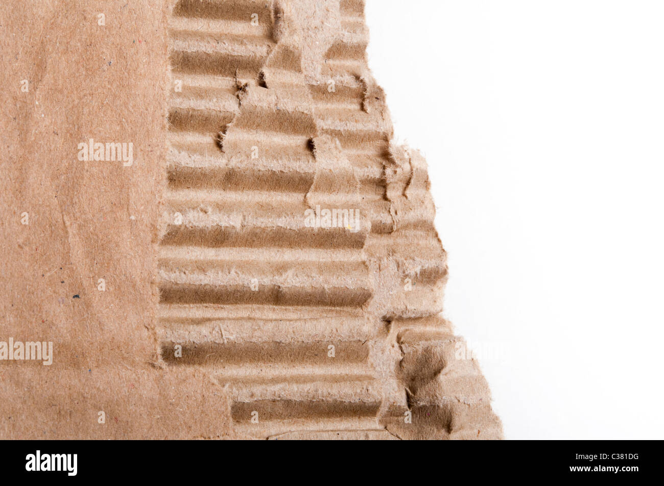 piece of cardboard teared Stock Photo - Alamy