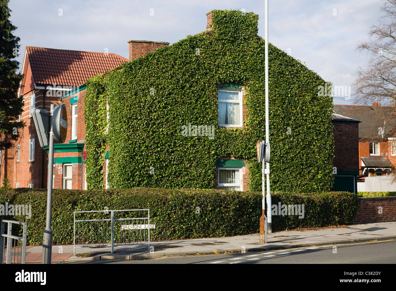 Ivy taking hold hi-res stock photography and images - Alamy