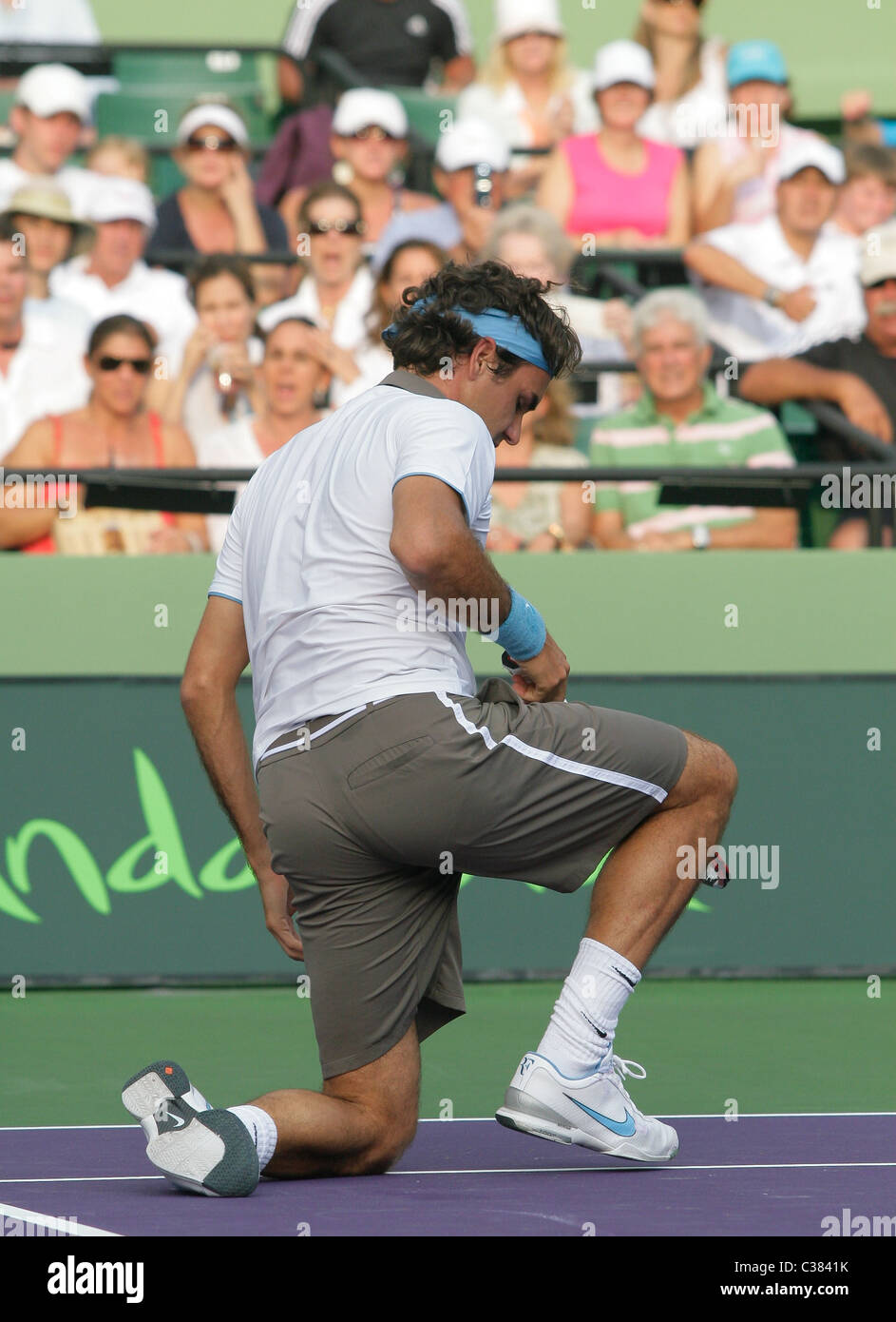 Taylor Dent High Resolution Stock Photography and Images - Alamy