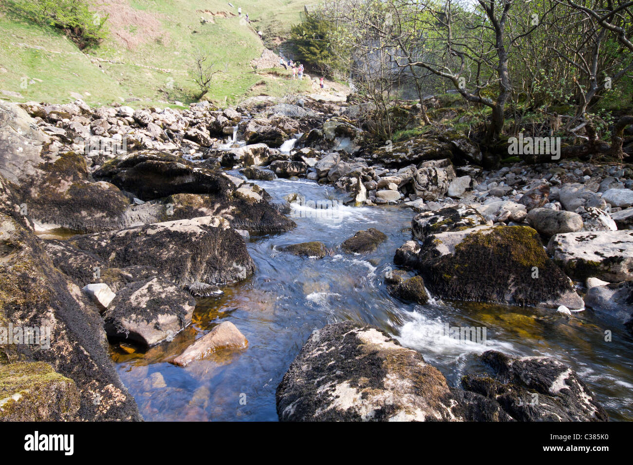Stream in the yorkshire dales yorkshire UK Stock Photo - Alamy