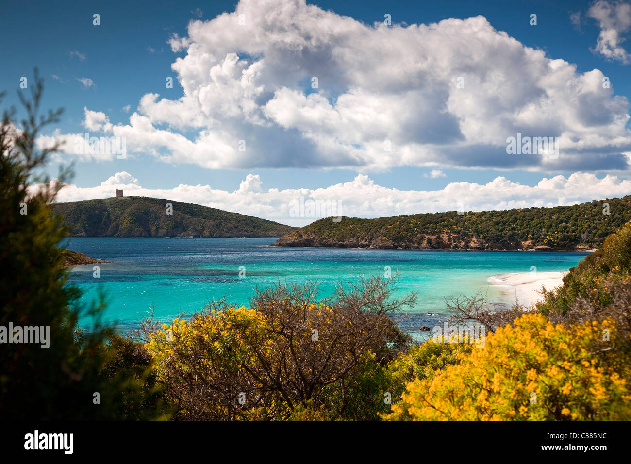Tuerredda beach, Teulada (CA), Sardinia, Italy, Europe Stock Photo - Alamy
