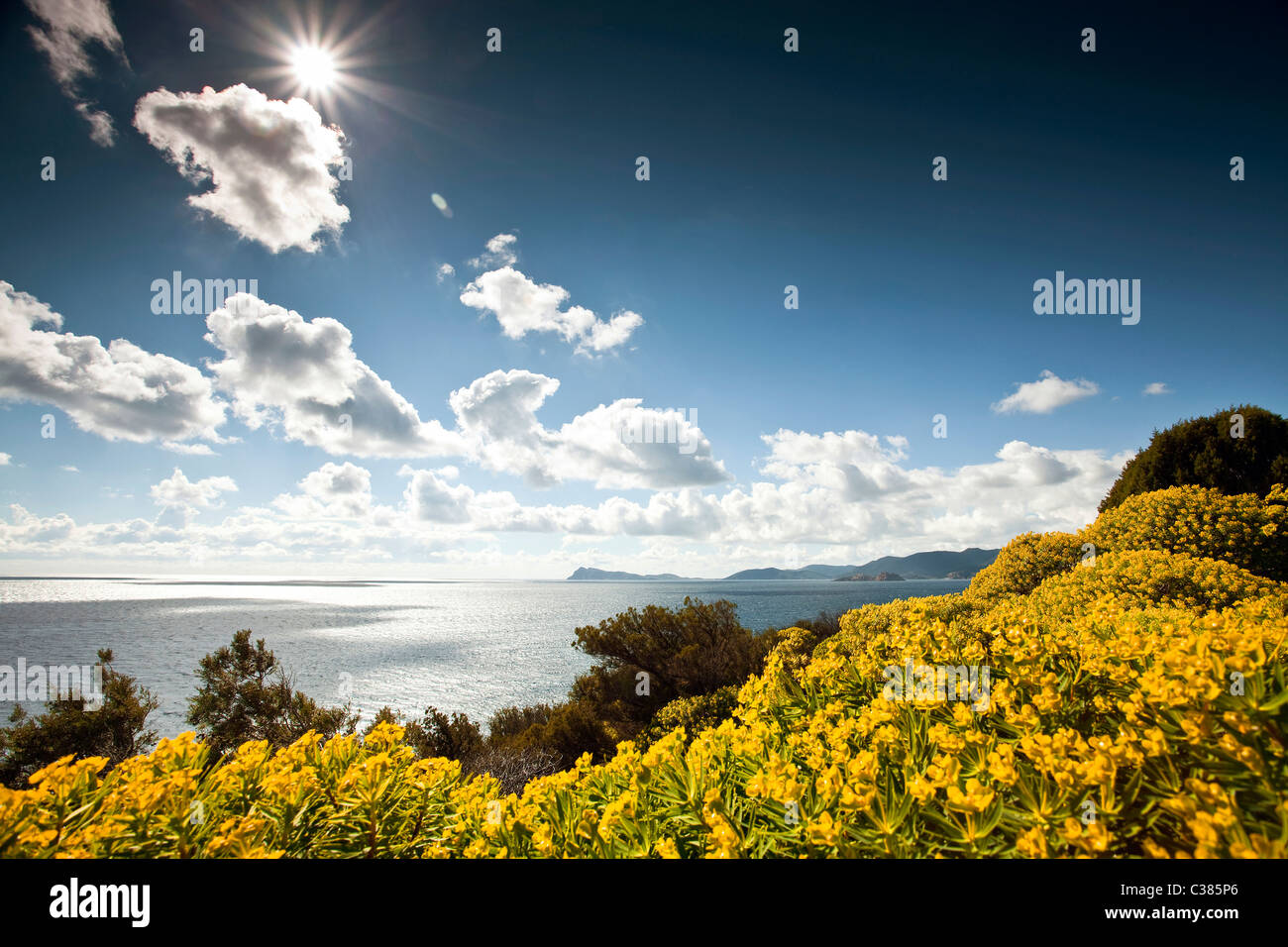 Sardinia capo teulada ca hi-res stock photography and images - Alamy