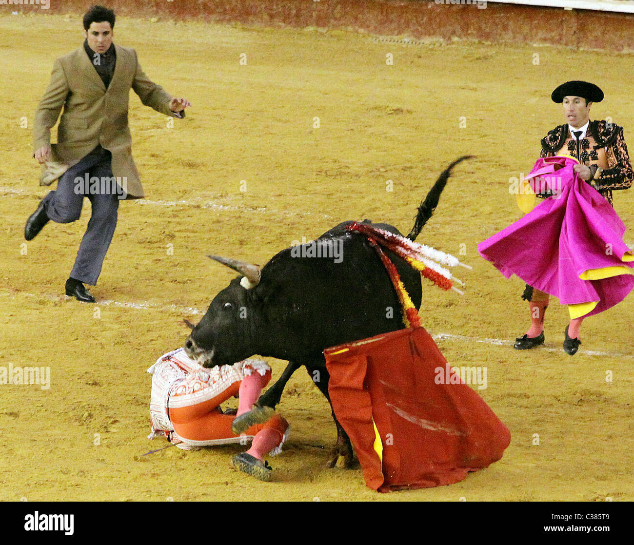 Cayetano Rivera Ordonez is thrown to the ground during a bull fight ...