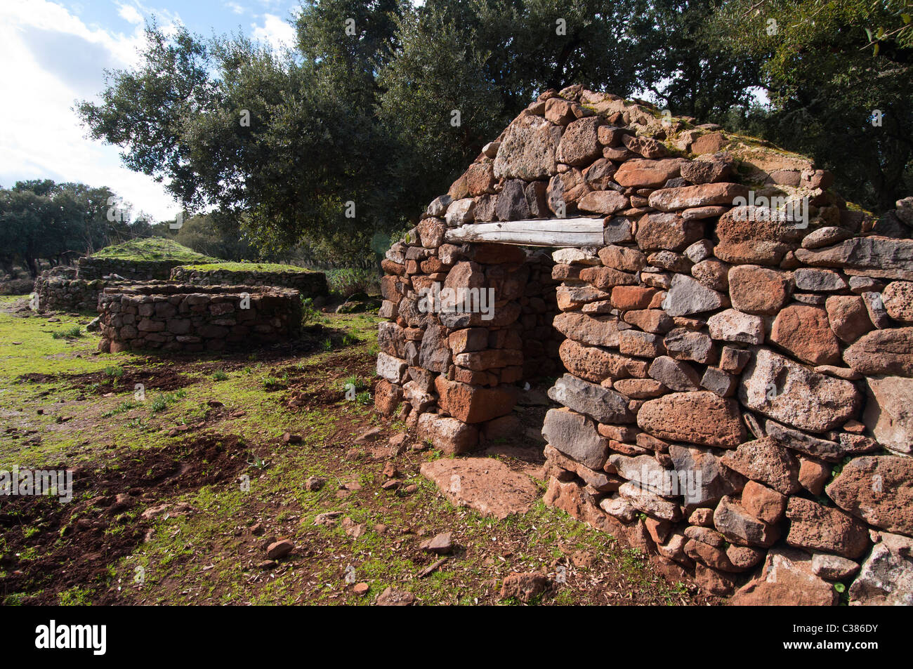 Bovida hi-res stock photography and images - Alamy