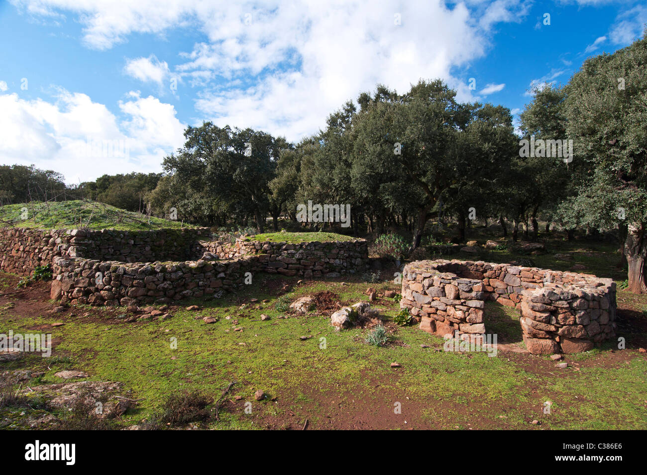 Bovida hi-res stock photography and images - Alamy