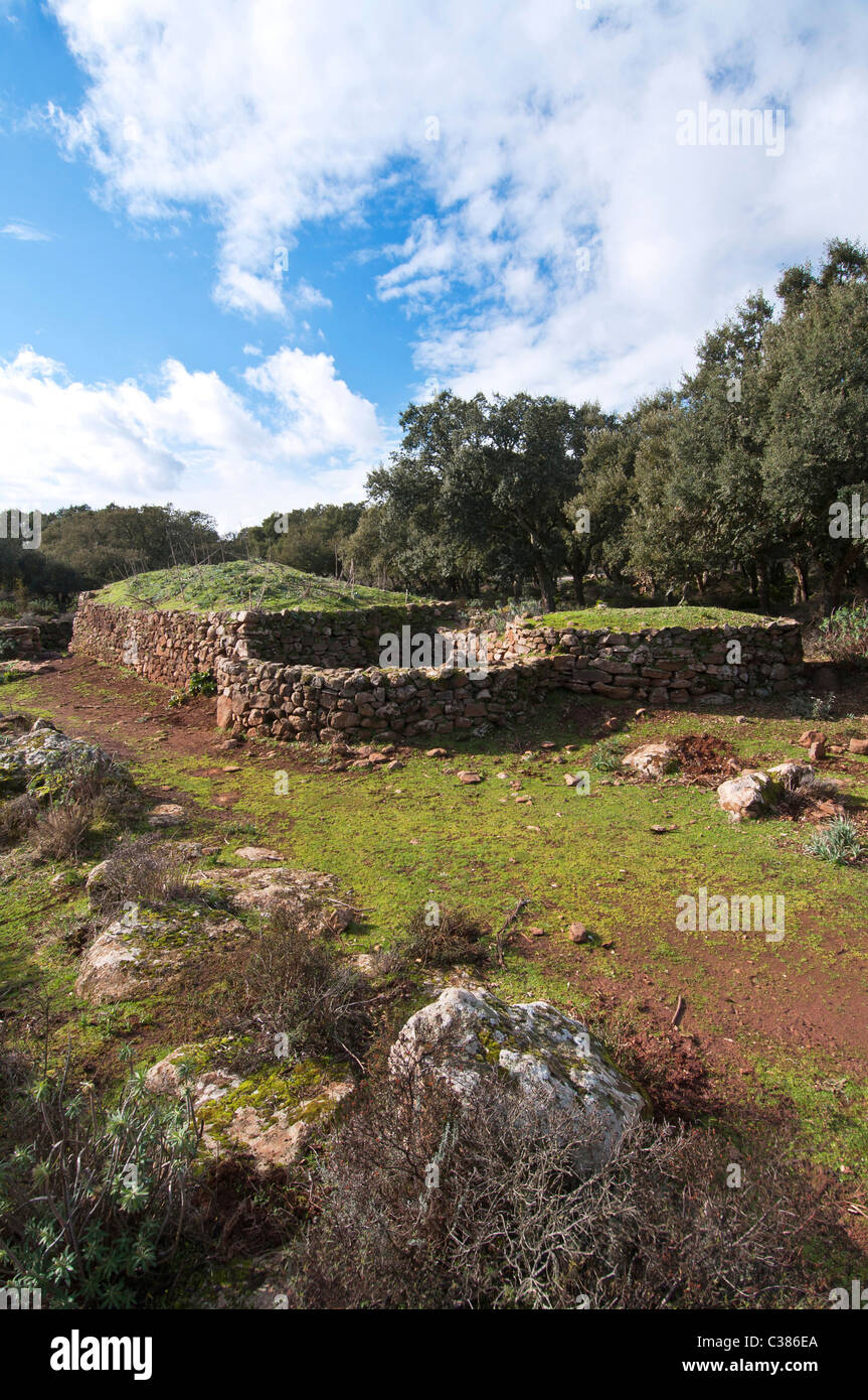 Bovida High Resolution Stock Photography and Images - Alamy