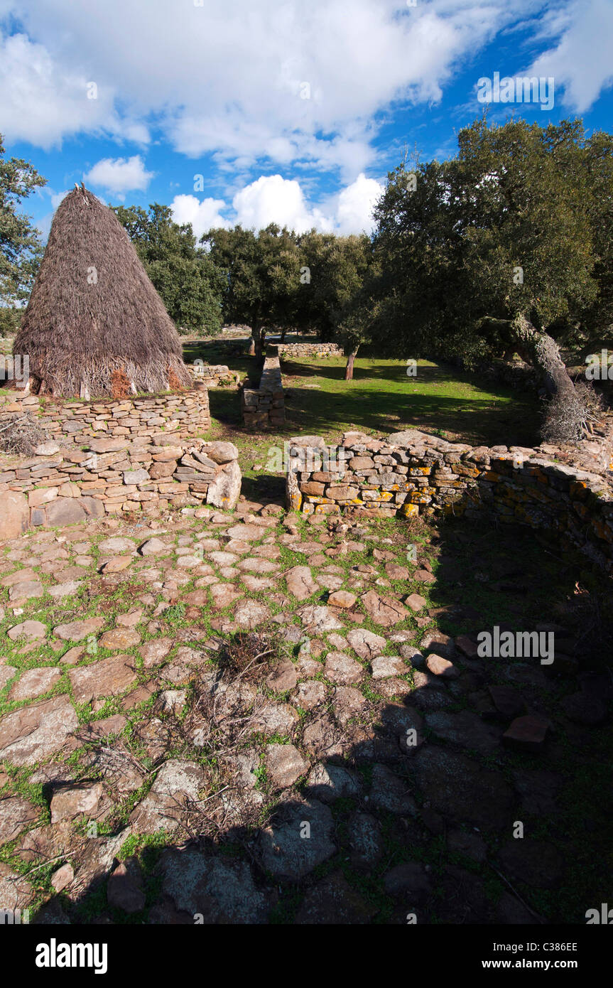 Bovida hi-res stock photography and images - Alamy