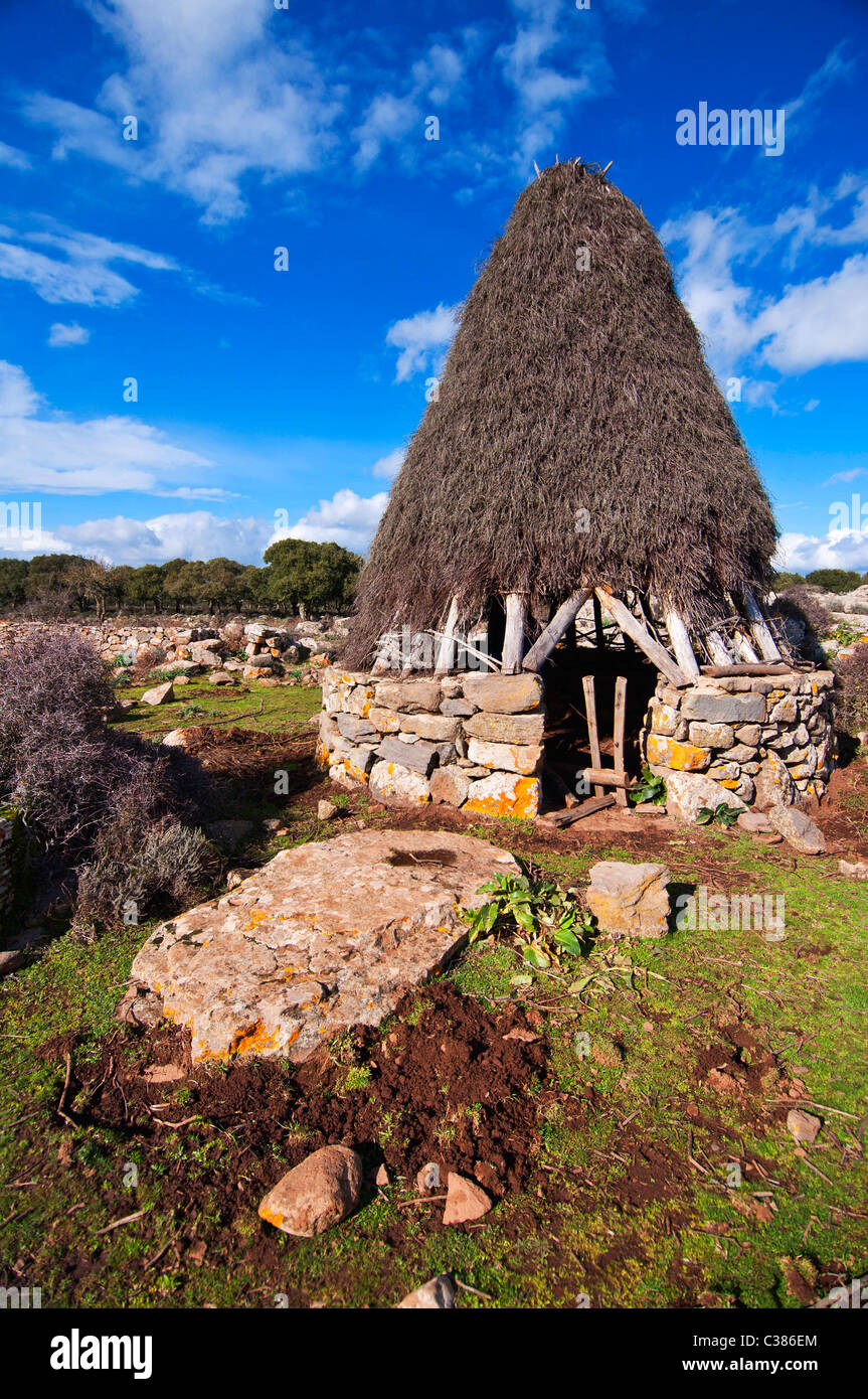 Bovida High Resolution Stock Photography and Images - Alamy