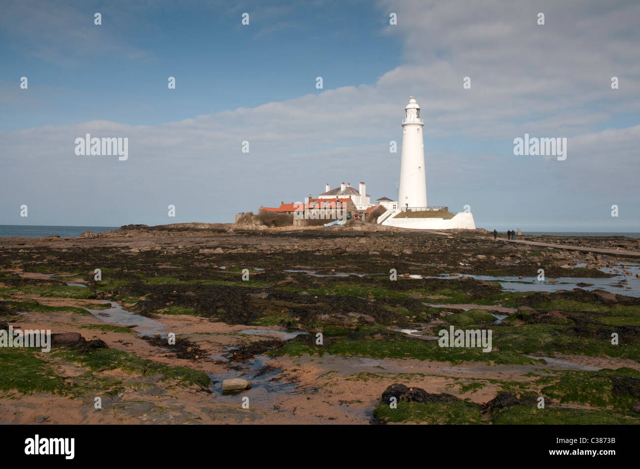 St Mary,s Lighthouse, St Mary,s Island, Tyne & Wear Stock Photo - Alamy