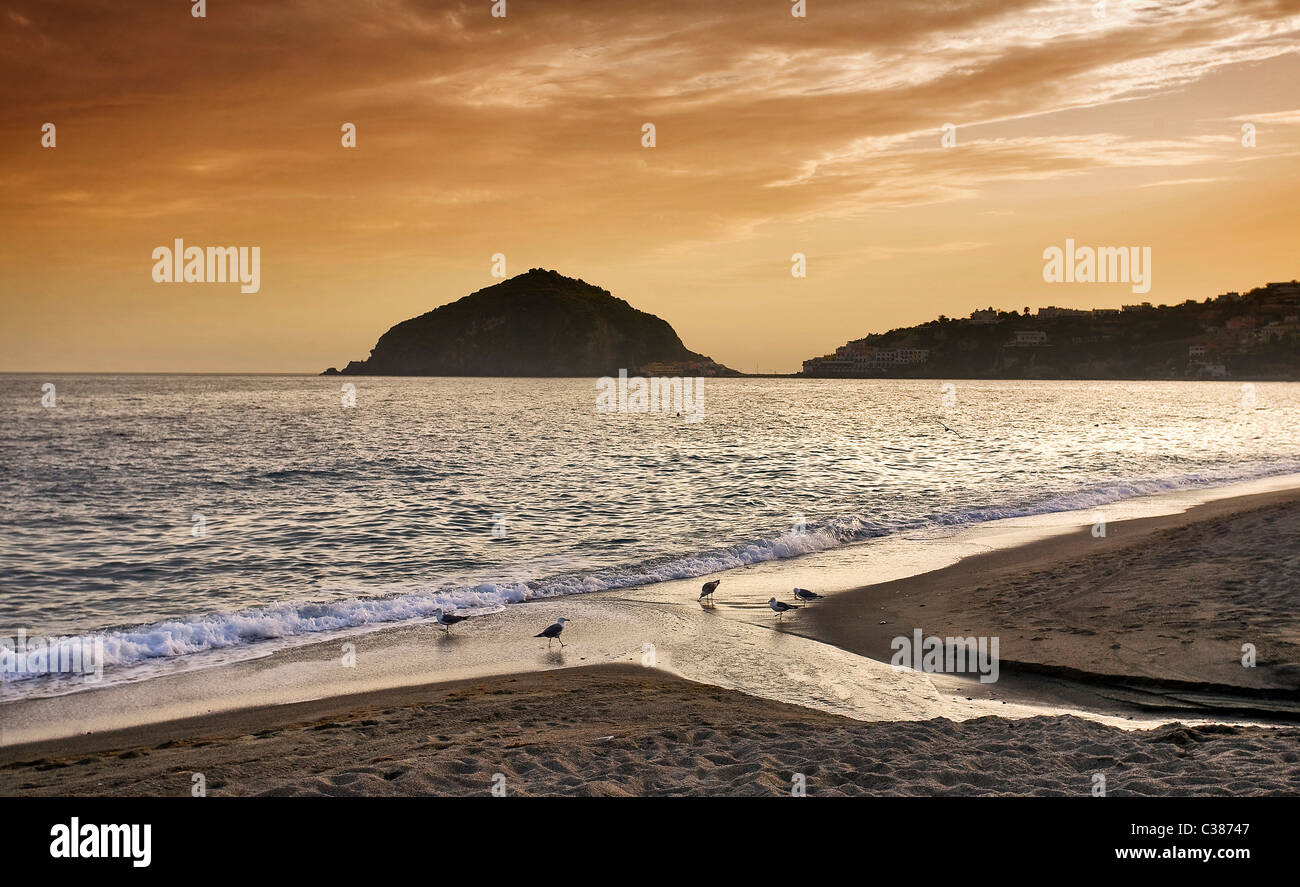 Maronti beach, Barano d'ischia,Ischia island,Campania,Italy,Europe ...