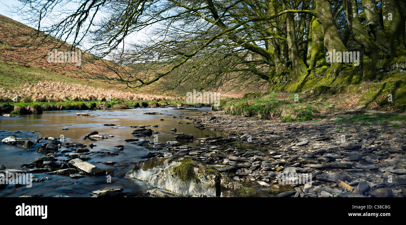The River Barle, Simonsbath,Exmoor,North Devon Stock Photo - Alamy
