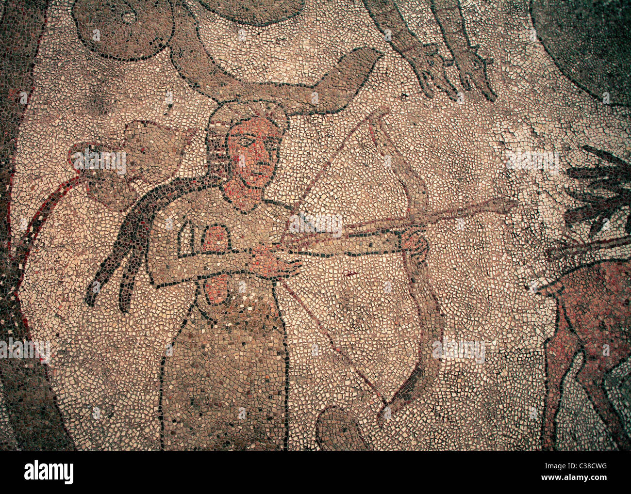 Cathedral, mosaic floor, Otranto, Salento, Apulia, Italy, Europe Stock ...