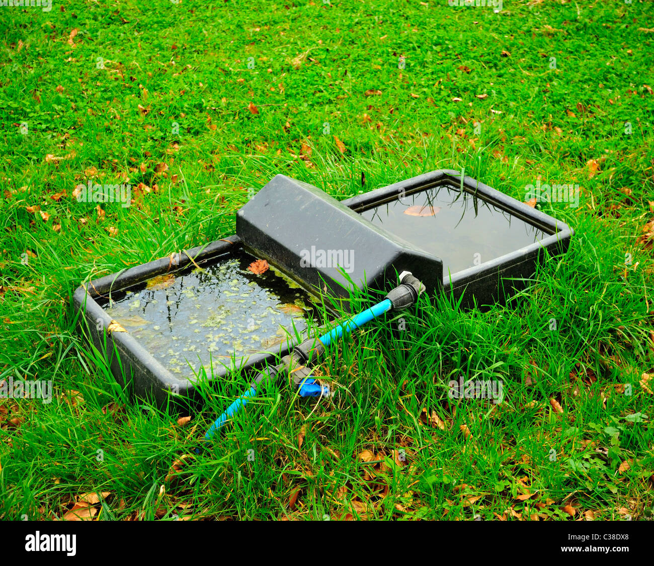 Drinking water trough for farm animals Stock Photo - Alamy
