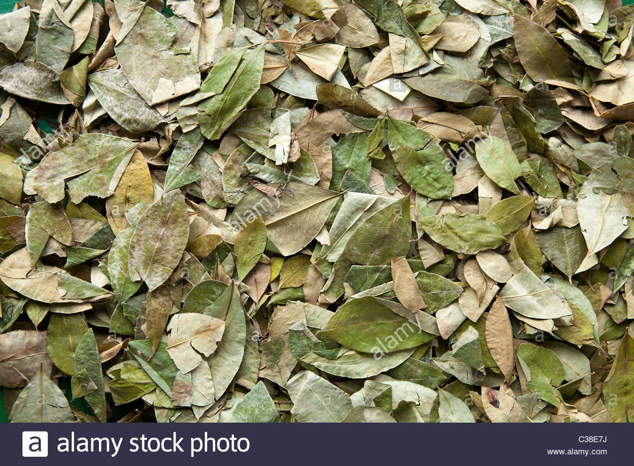 Herbal Cures High Resolution Stock Photography and Images - Alamy