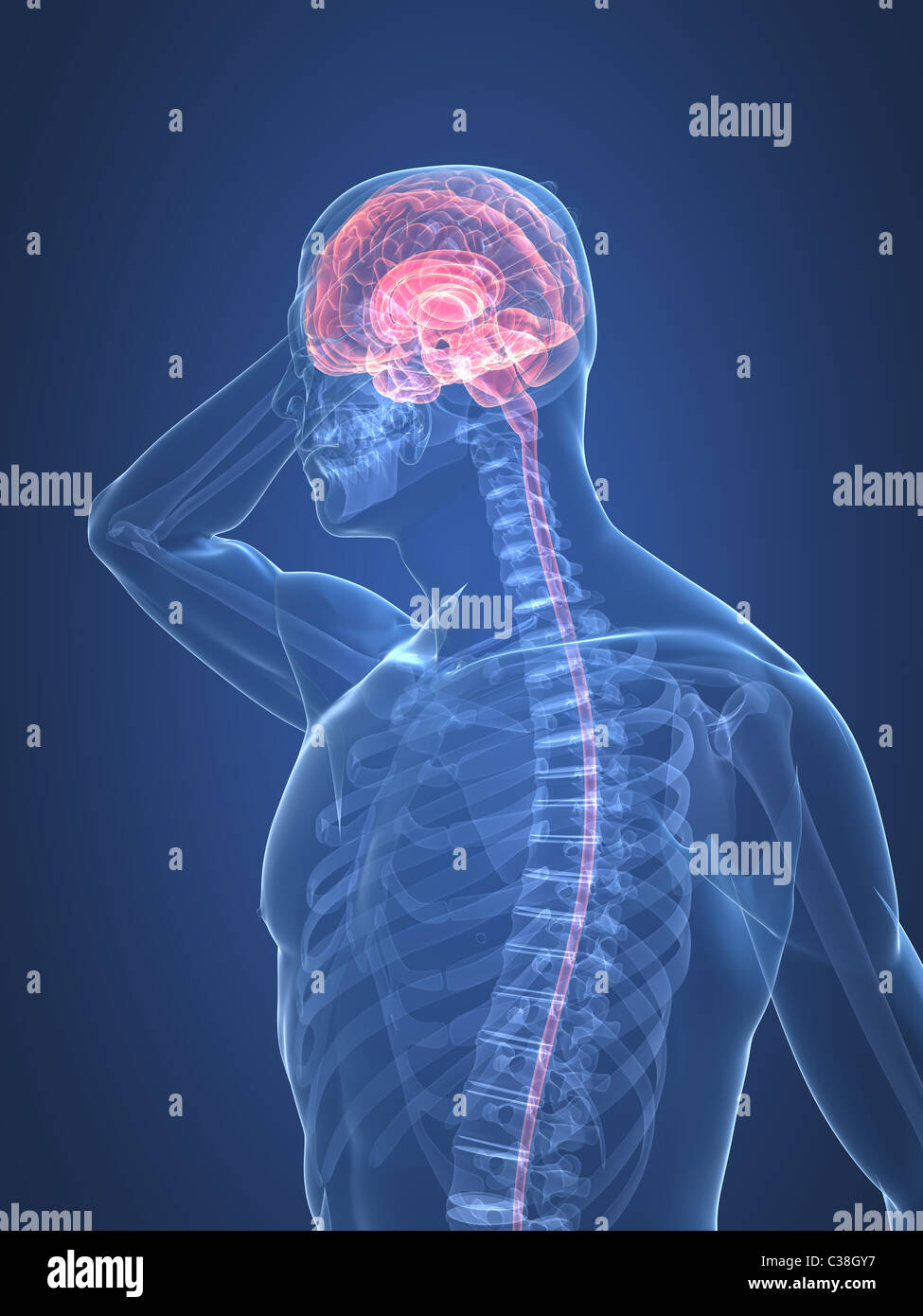 headache / migraine Stock Photo - Alamy