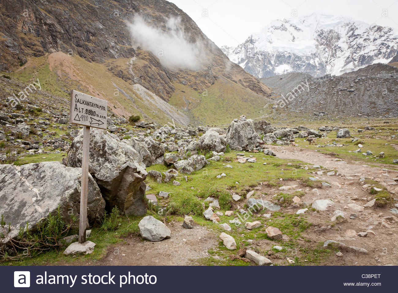 Salcantay Pass High Resolution Stock Photography and Images - Alamy
