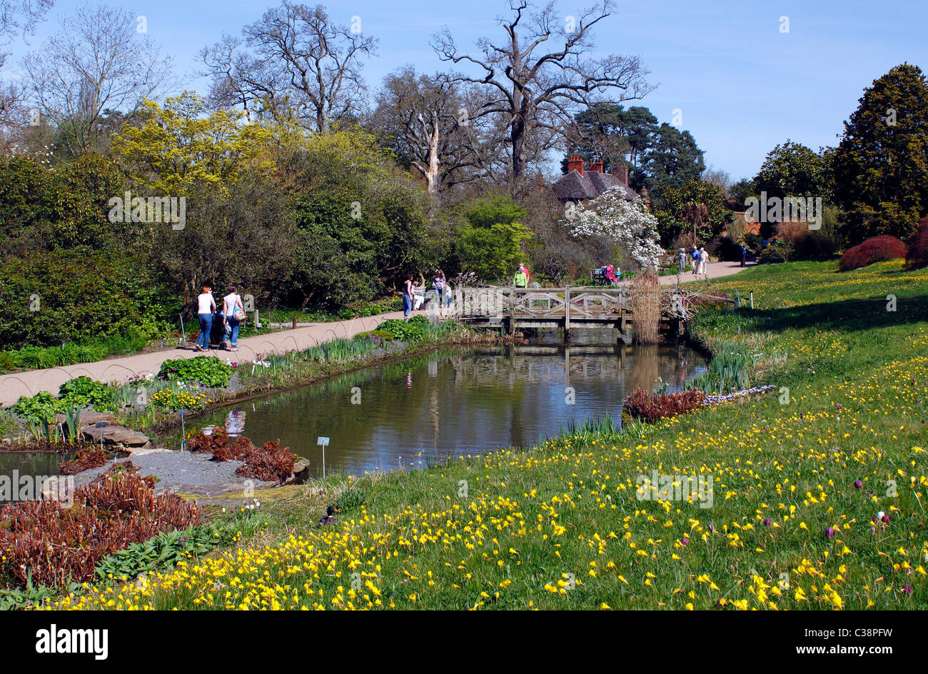 Wisley Surrey England Gardens Lake Stock Photos & Wisley Surrey England ...
