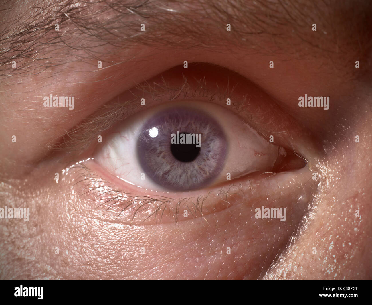 Closeup blue eye pupil iris hi-res stock photography and images - Alamy