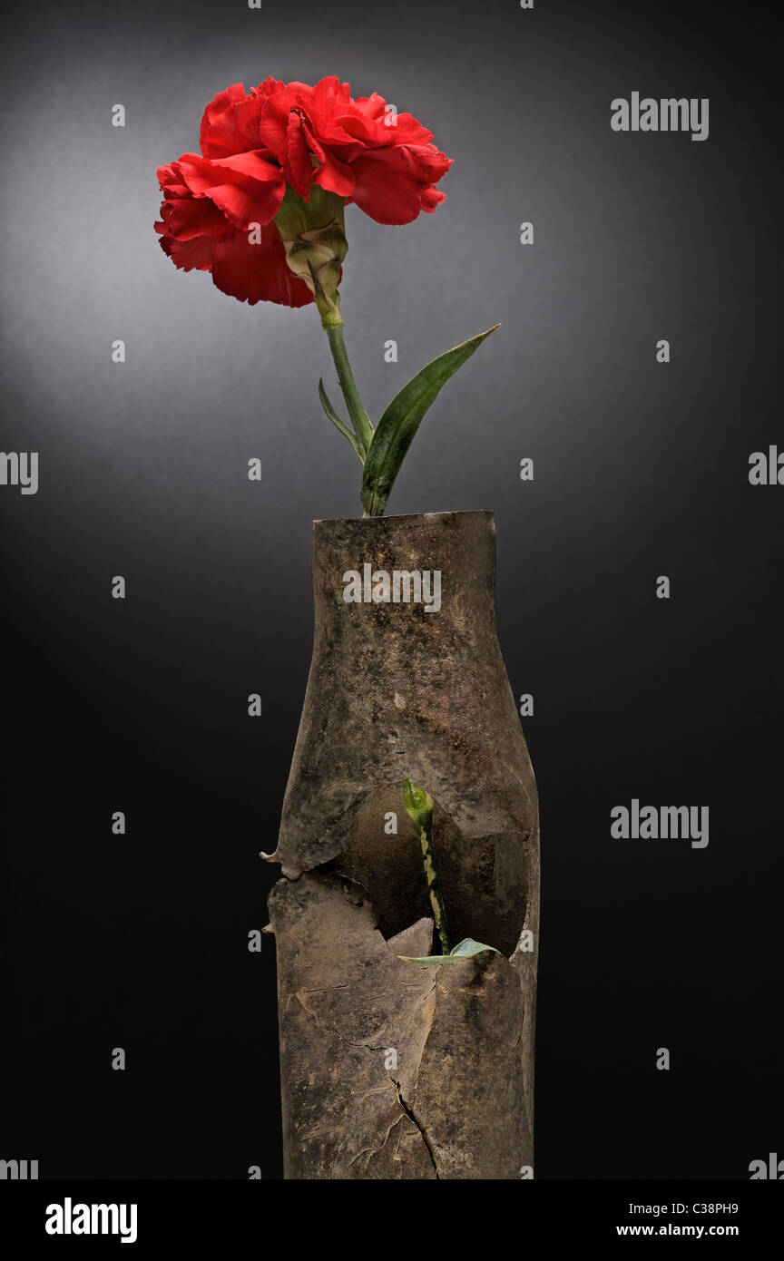 Day victory day hi-res stock photography and images - Alamy