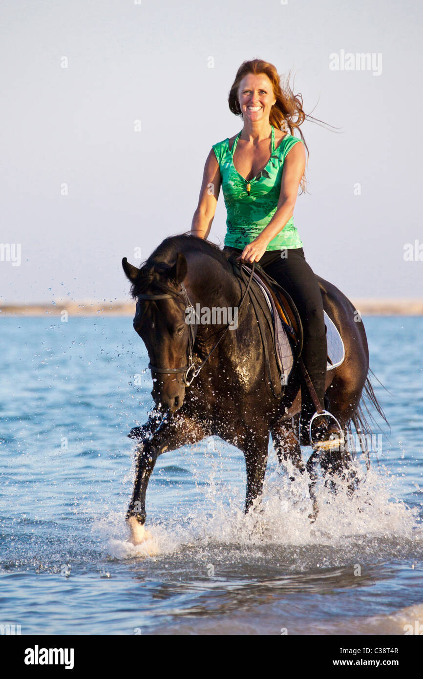 woman riding on Arabian horse Stock Photo - Alamy