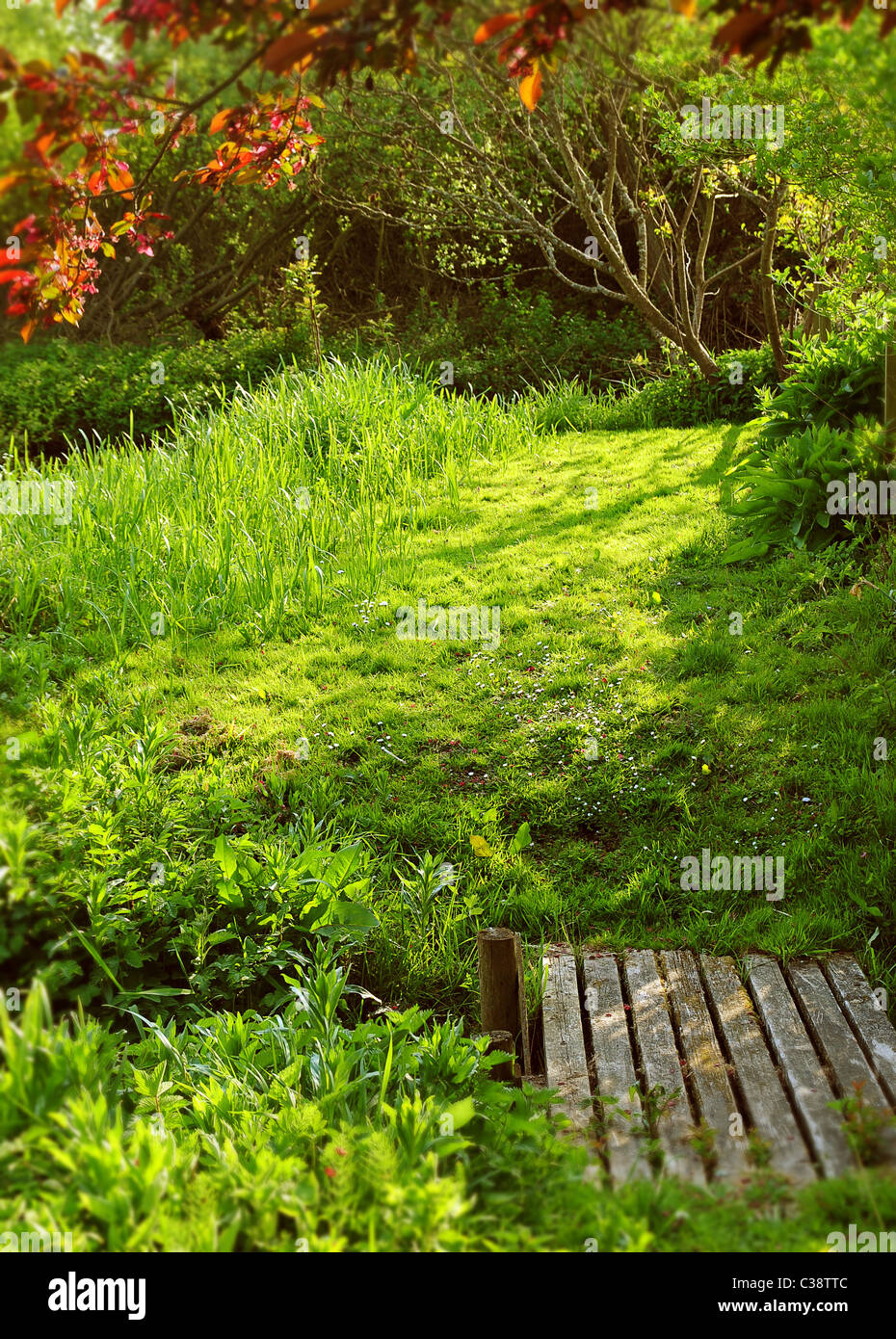 Lush Green Grass High Resolution Stock Photography and Images - Alamy
