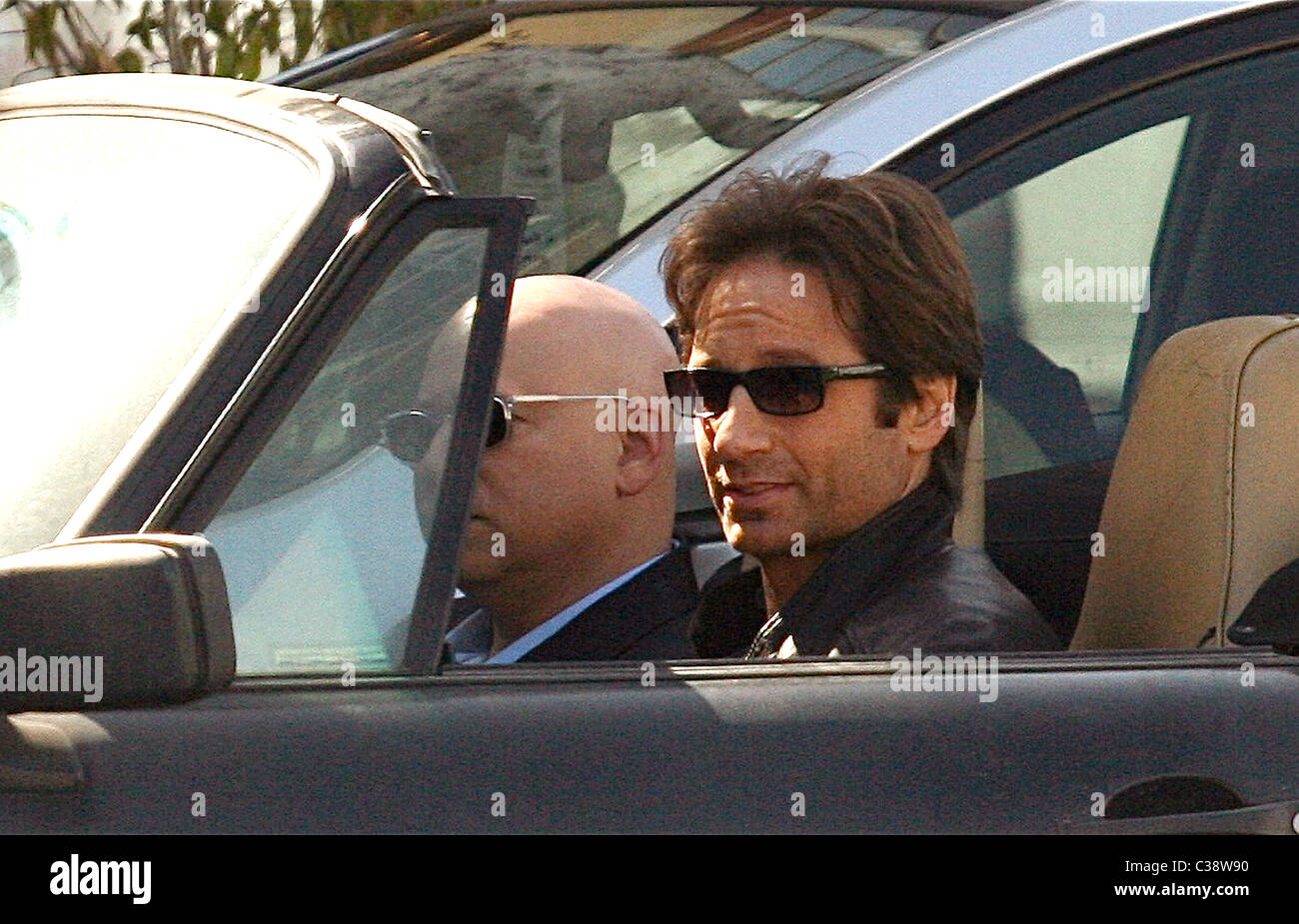 Evan Handler David Duchovny