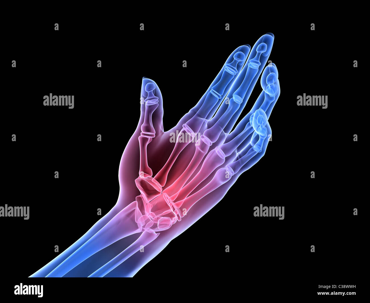 highlighted hand joint Stock Photo - Alamy