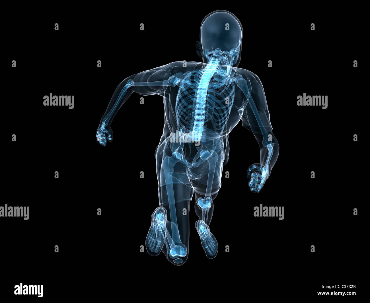 Medical Skeleton Running Knee Joints High Resolution Stock Photography ...