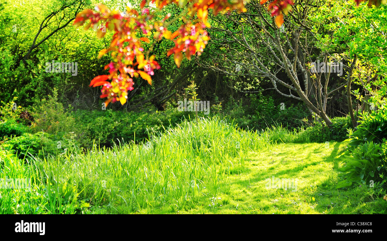 Lush Garden High Resolution Stock Photography and Images - Alamy